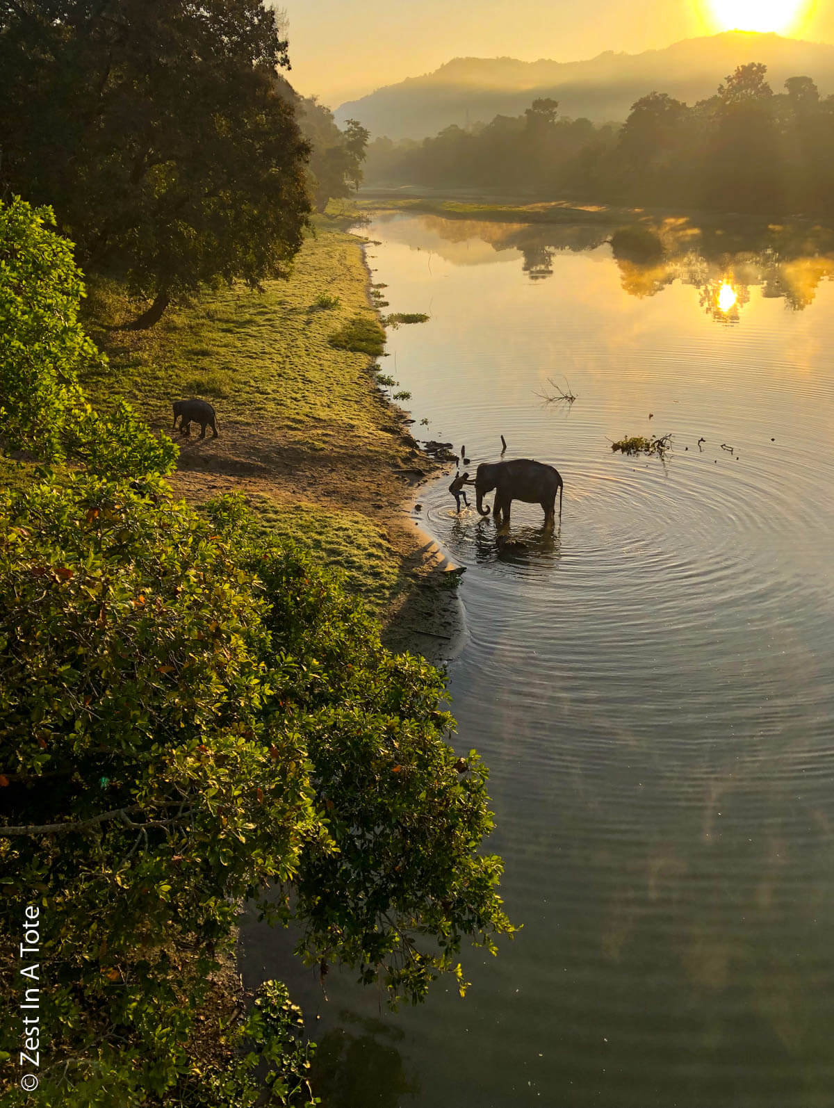 Assam Itinerary for a laid-back family vacation | Zest In A Tote