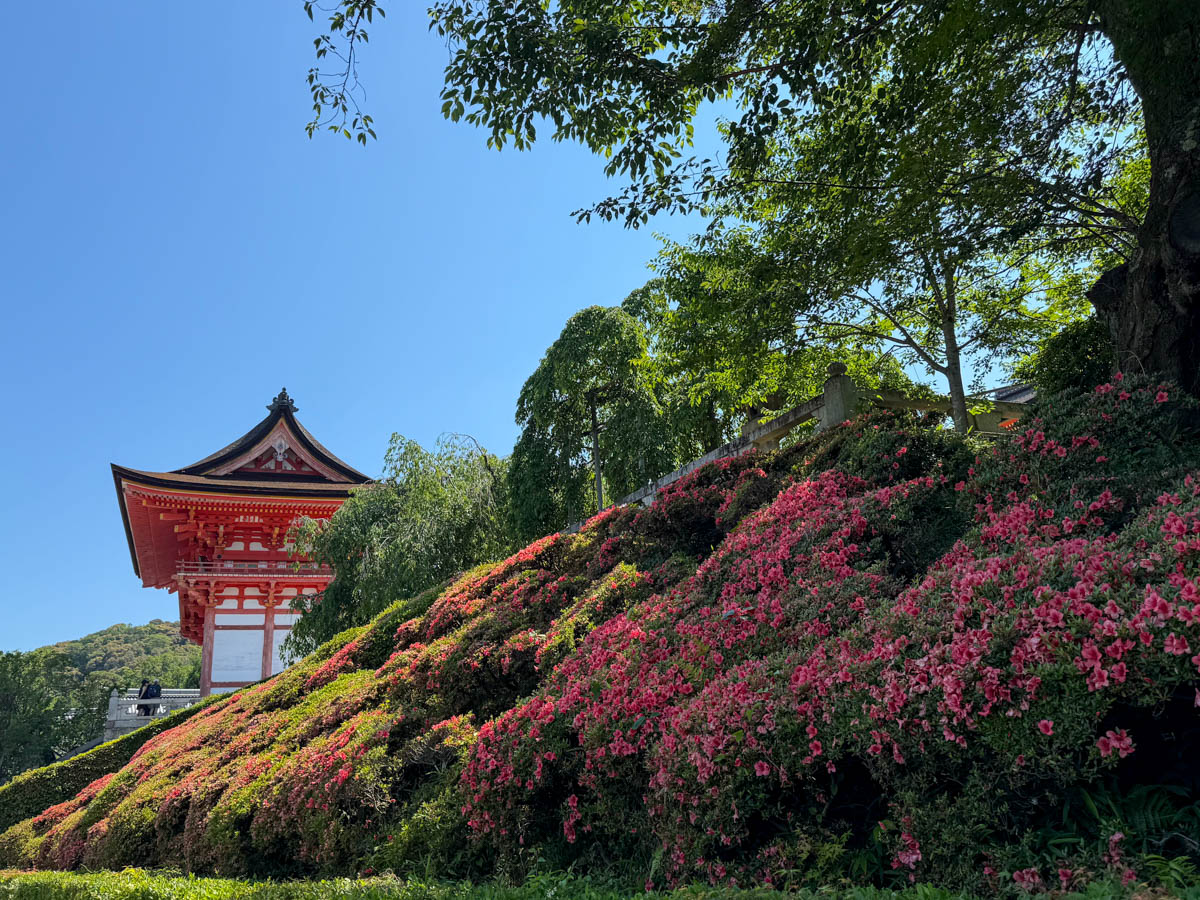 Japan in June: Weather, What to Expect, Travel Tips | Zest In A Tote